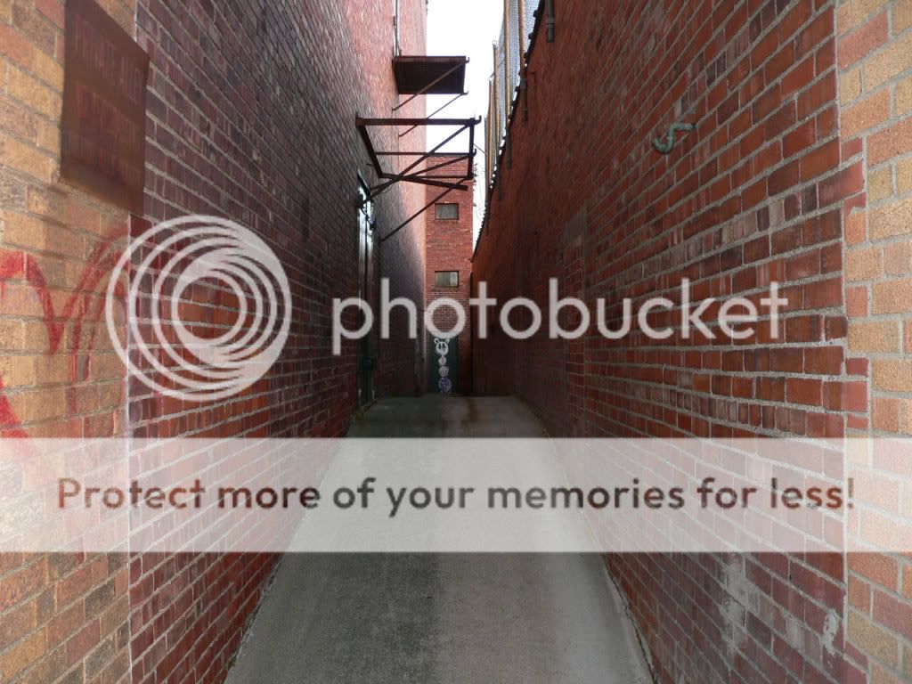 View topic - This Is Our Kingdom (Complex alley dog/cat RP)(Open ...