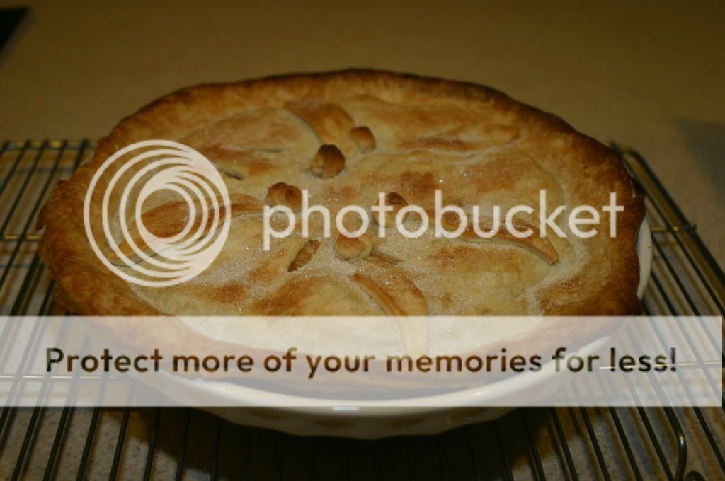 Classic Apple Pie | The Wicked (awesome) Whisk