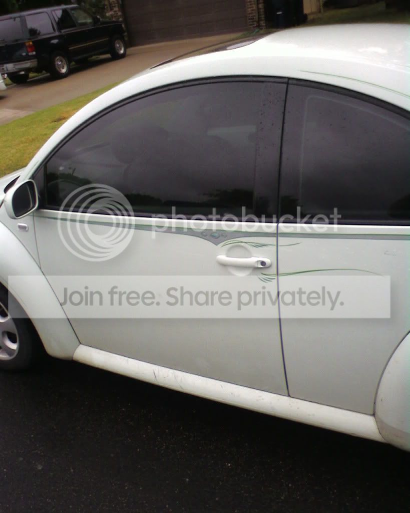 Luna Bug's '02 Lunar Green Beetle | VW Beetle Forum